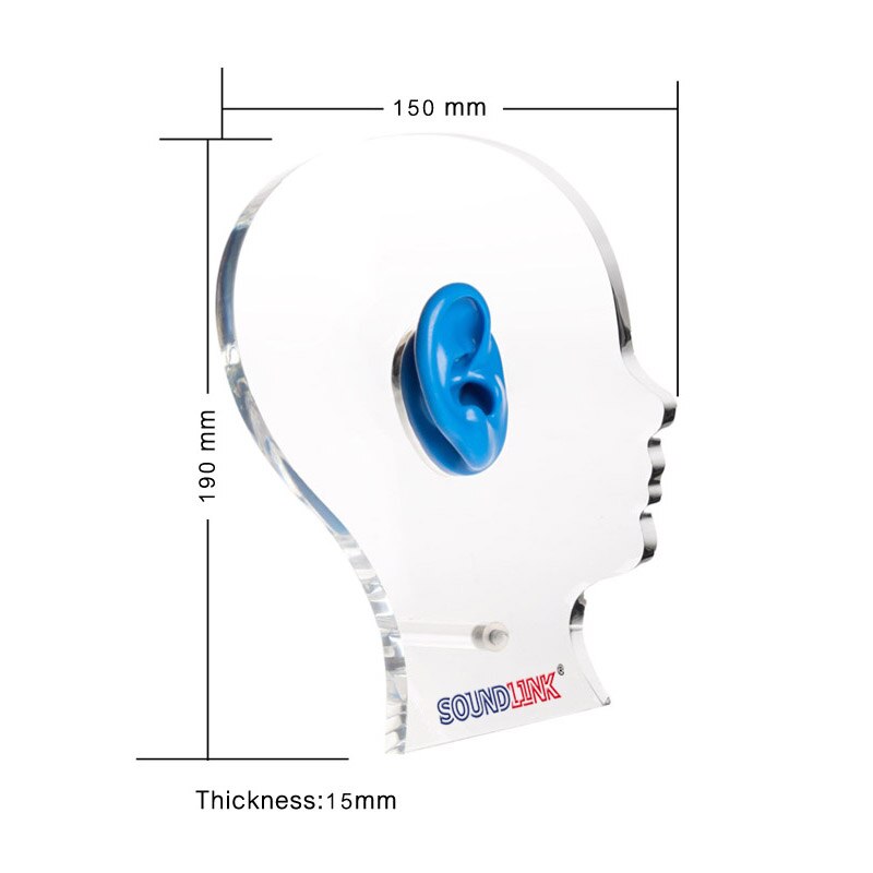 Head Shape Acrylic Display with Silicone Ear Model... – Vicedeal