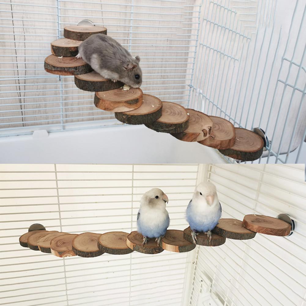 Moisture-proof Eco-friendly Mouse Long Climbing La... – Grandado