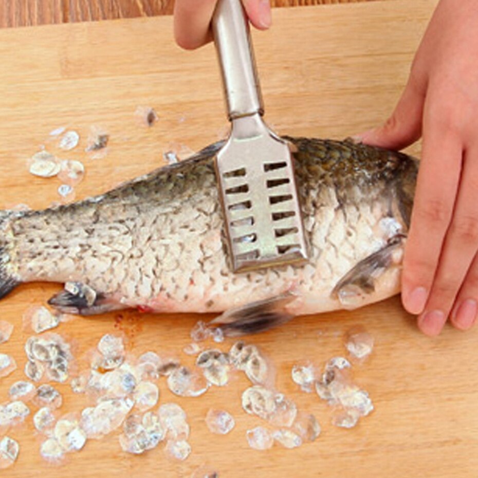 1pc Stainless Steel Fish Skin Brush Fast Remove Fi... – Grandado