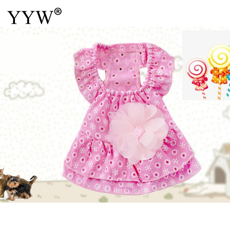 Kat Kleding Polyester Doek Huisdier Kleding Voor K... – Grandado