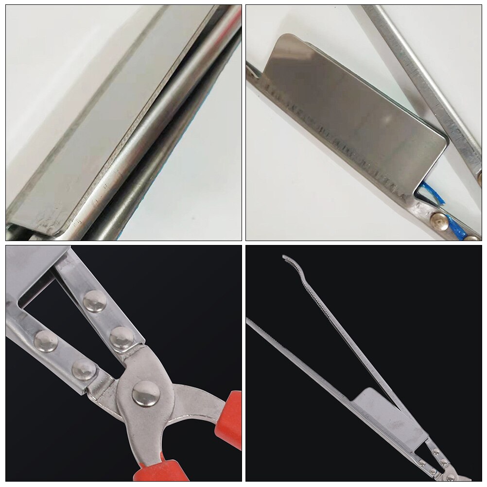 Stainless Steel Crab Clamp Sturdy Eel Clamp Loach ... – Vicedeal