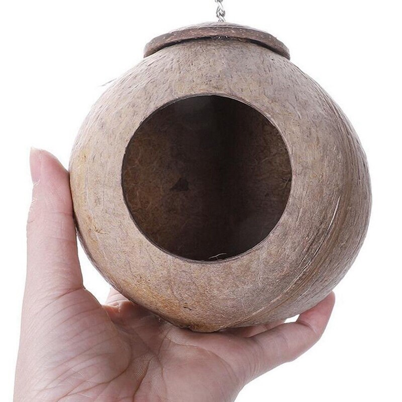 Casa de Nido de Pájaro con concha de coco Natural,... – Grandado