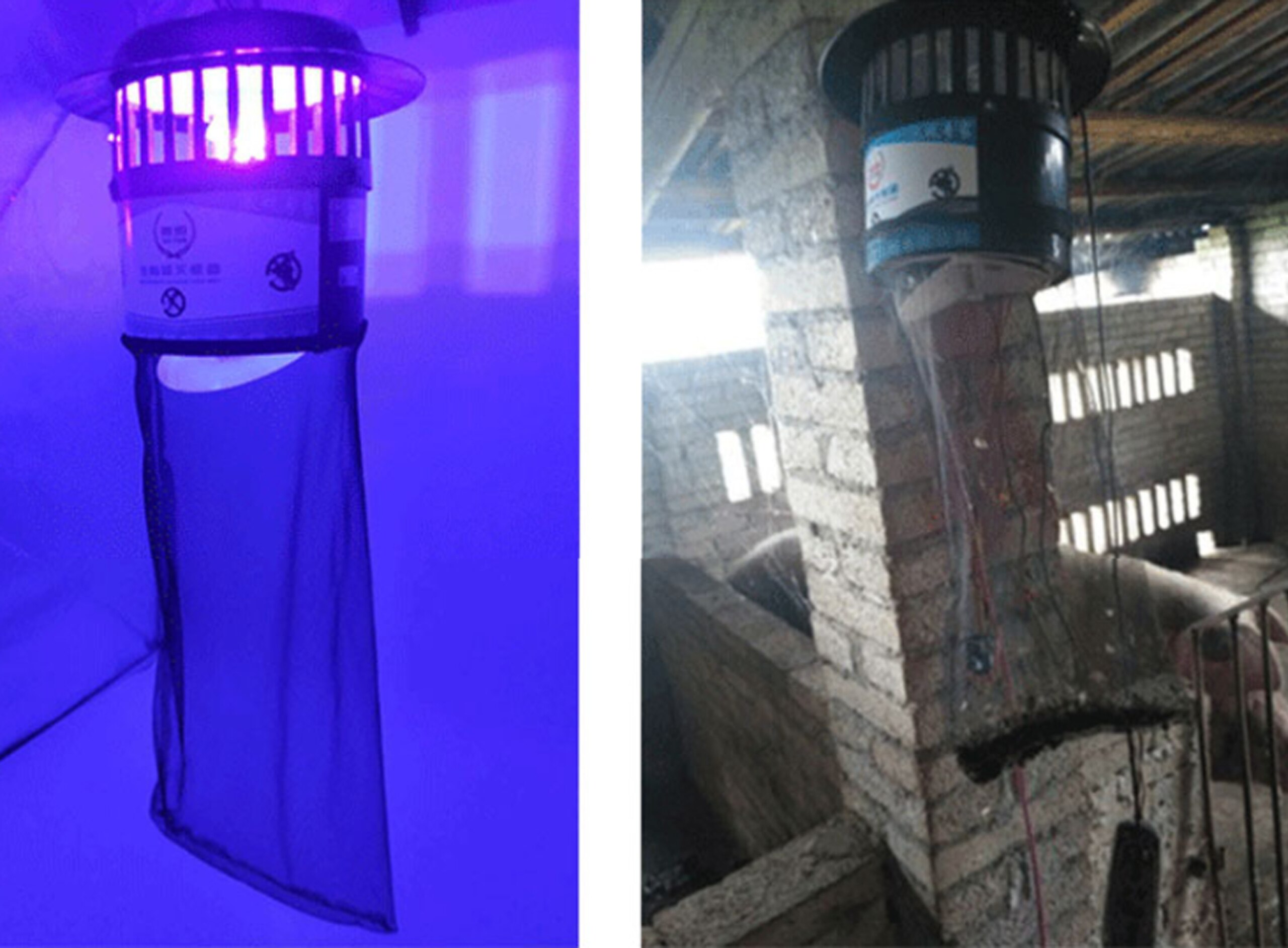 Farm Animal Breeding In Summer Outdoor Mosquito Ki... – Grandado