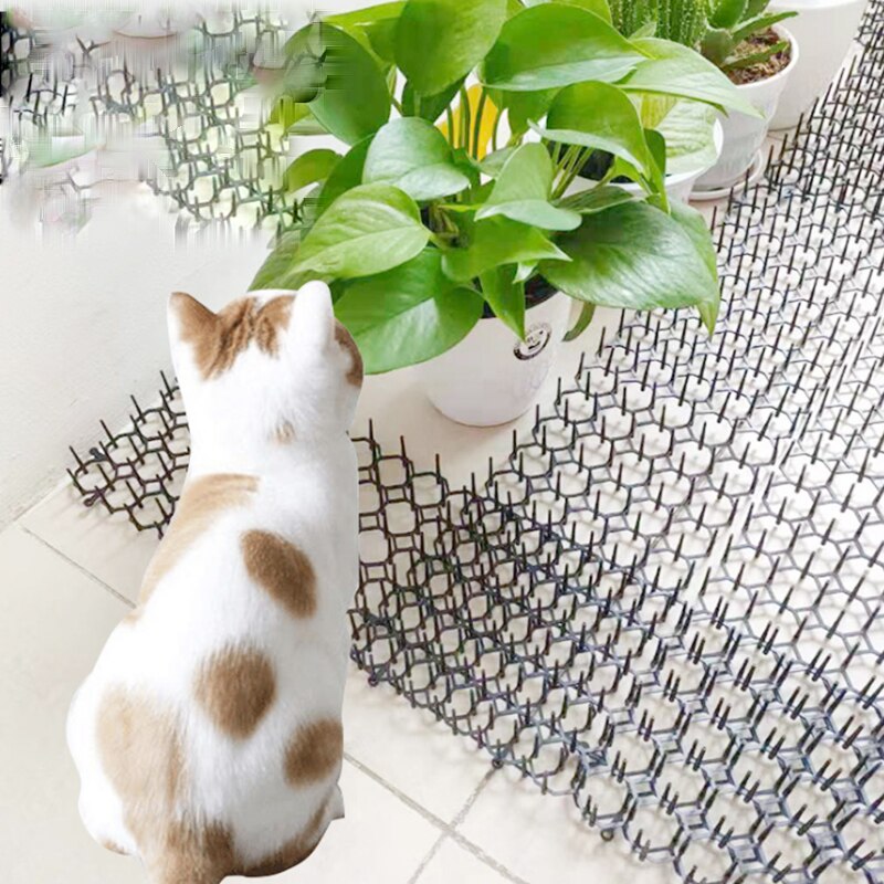 Cat Scat Mat Anti-Cat And Pest Plastic Prickle Str... – Grandado