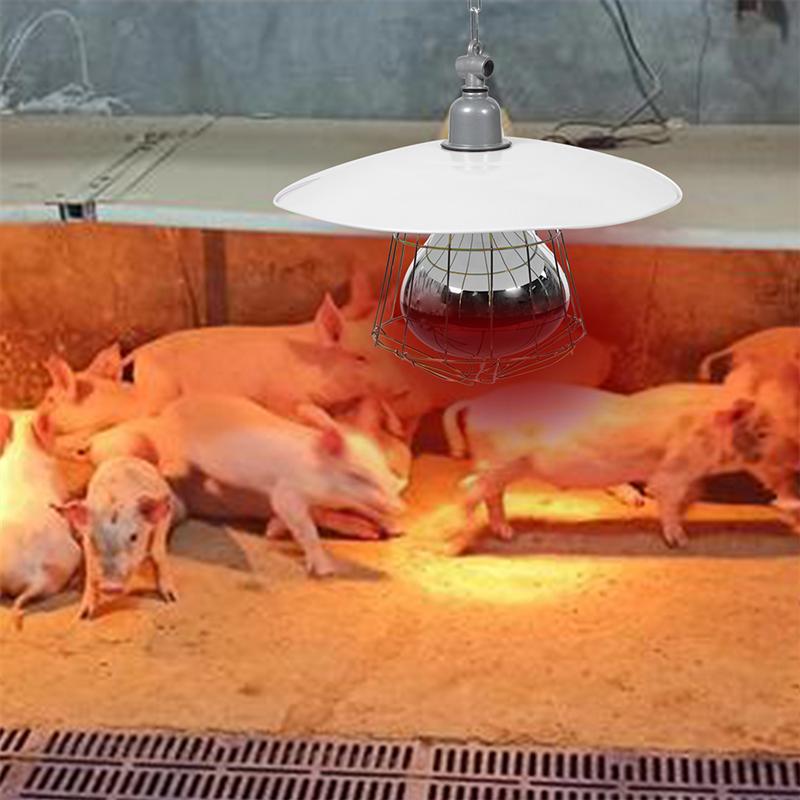 Livestock Heating Lamp Lamp Breeding Accessory Far... – Vicedeal