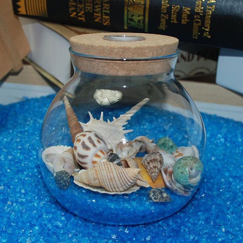 Mixed Ocean Sea shells Wedding Decor Beach Theme P... – Vicedeal