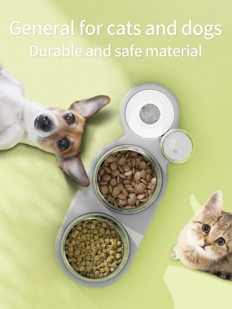 Pet Cat Bowl Automatic Feeder Dog Cat Food Bowl Wi... – Grandado