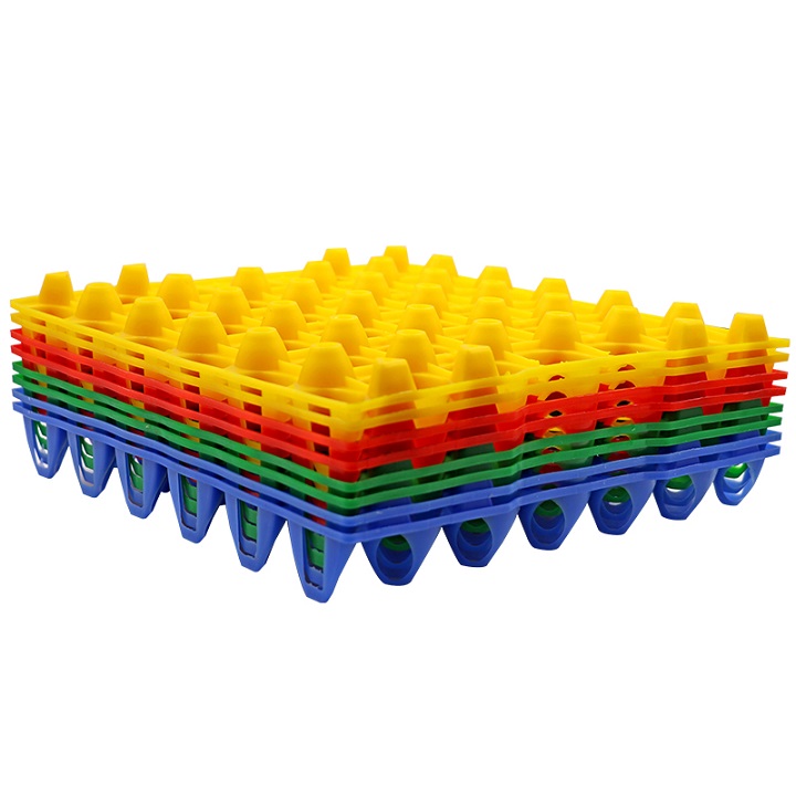 10 pcs Chicken Egg Tray 29 * 29 * 5cm 30 Egg Stora... – Grandado