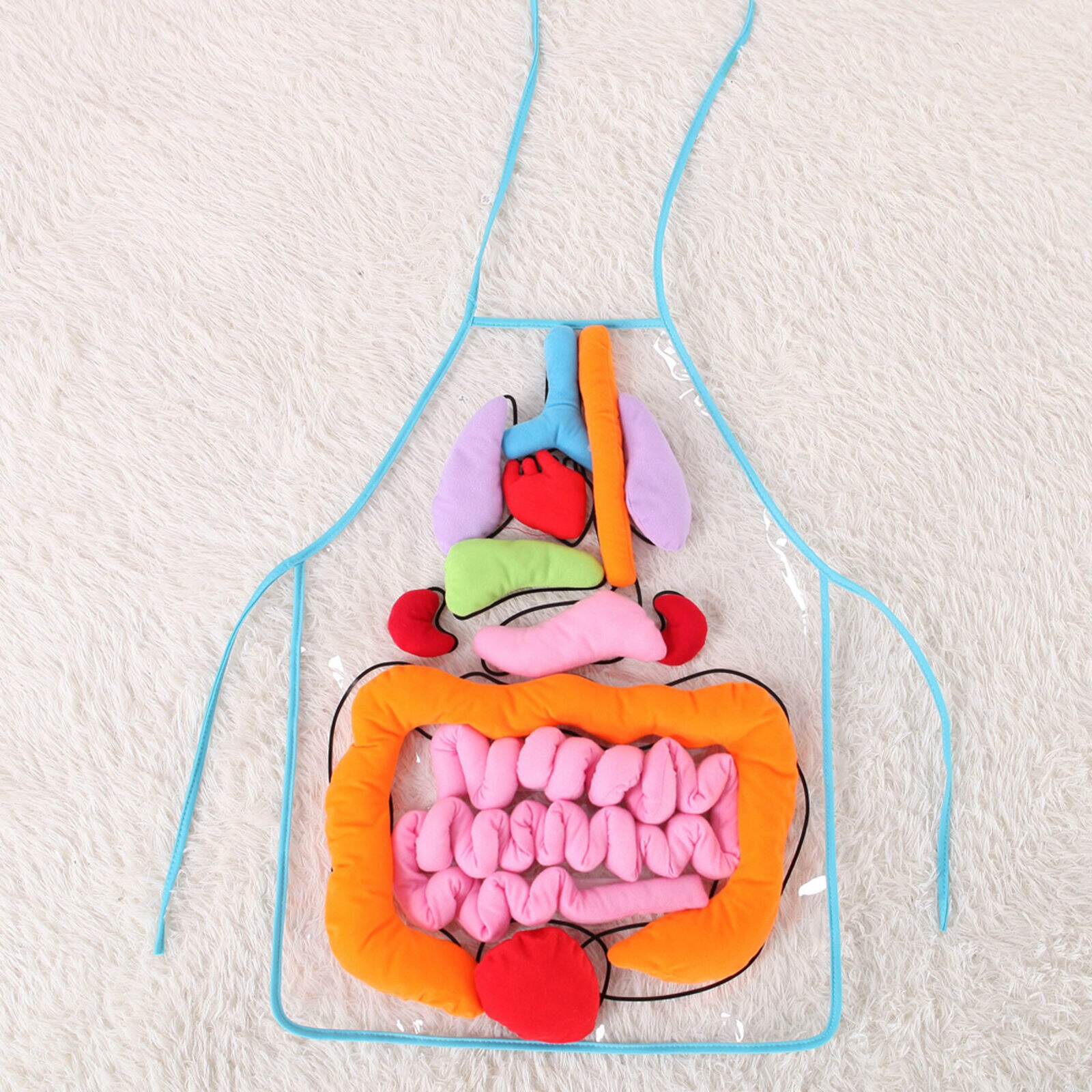 Organs Apron Early Childhood Education Educational... – Vicedeal