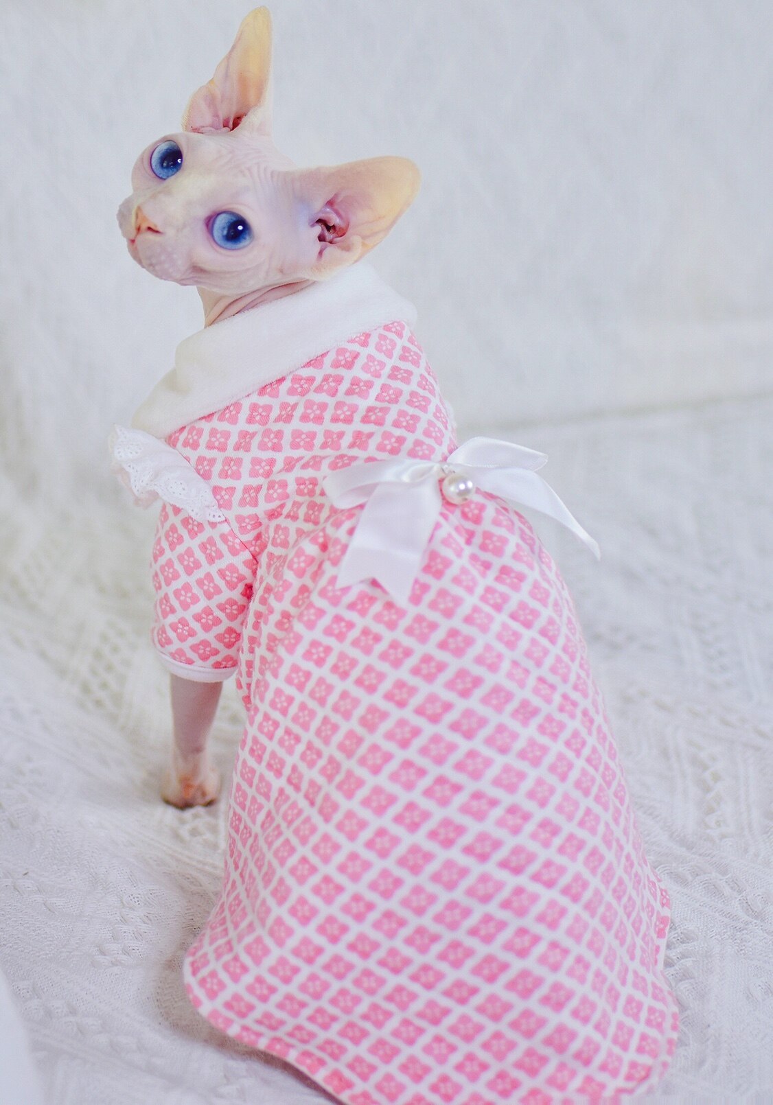 Animal de estimação pele-amigável acolchoado princ... – Grandado