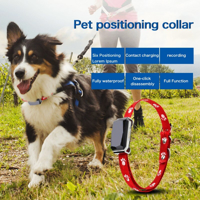 Pet Tracker Dog Waterproof Adjustable GPS Position... – Grandado