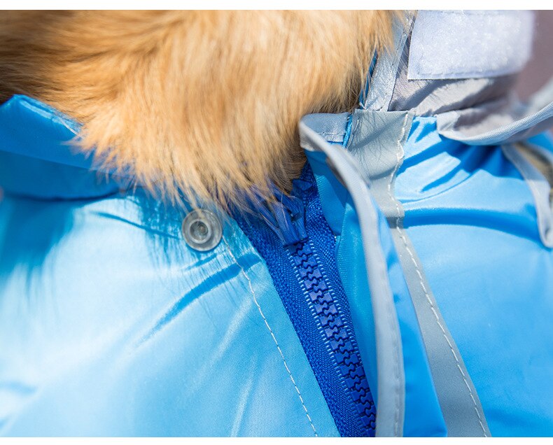 Golden Retriever Big Dog Raincoat Four-legged Dog ... – Grandado