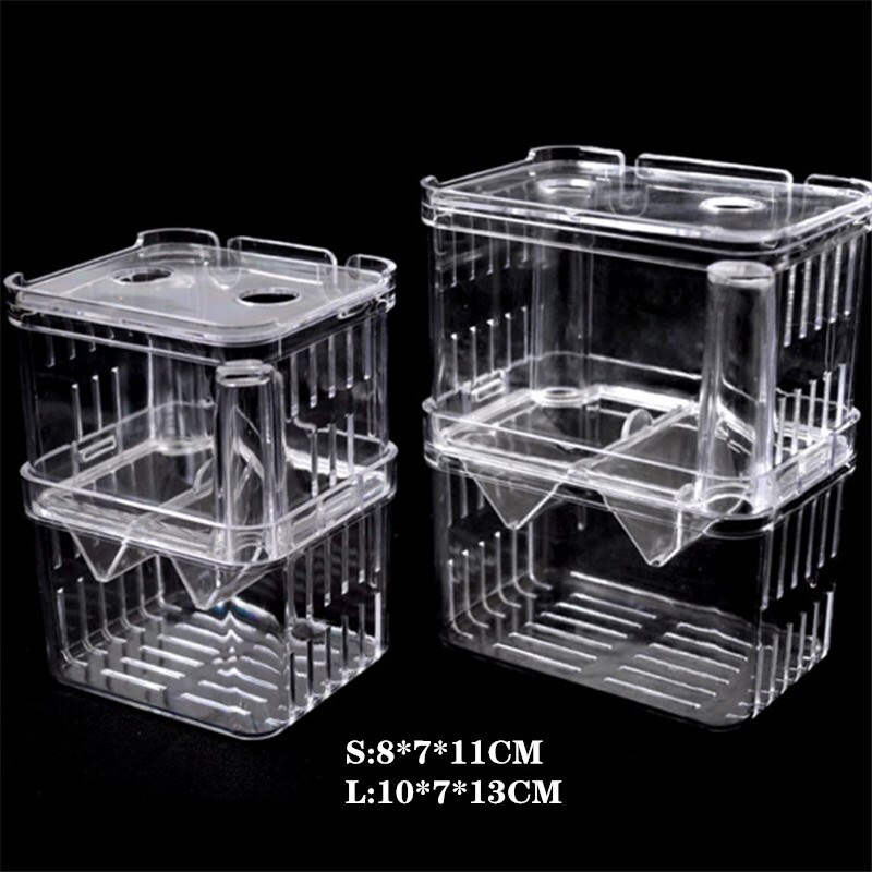 Fisch Zucht Box Acryl Fisch Isolation Box mit Saug... – Grandado