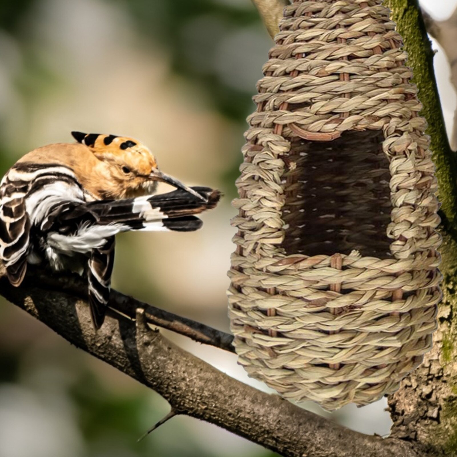 Garden Hanging Birds Nest Hand-woven Outdoor Hummi... – Grandado
