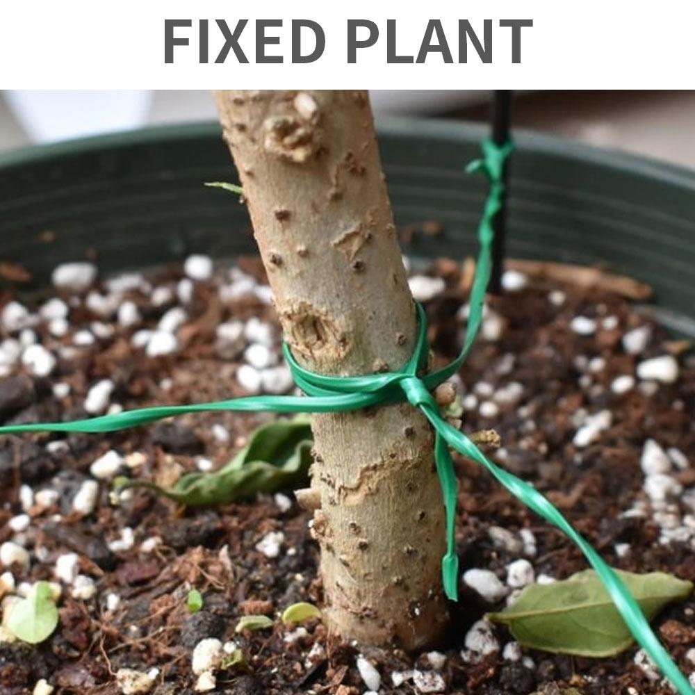 100m Useful Garden Tie Strapping Rope Gardening Pl... – Grandado