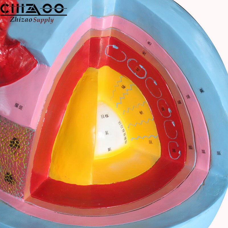 Geography Science Education Equipment Sun Internal... – Vicedeal