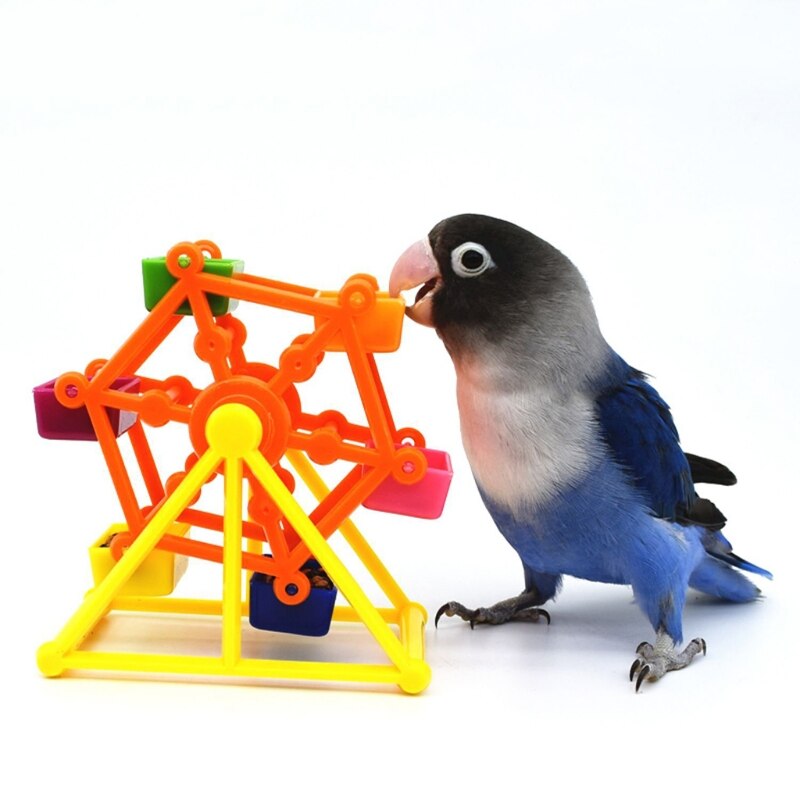 D0AD Bird Foraging Toy Seed Food Feeder Plastic Ro... – Grandado