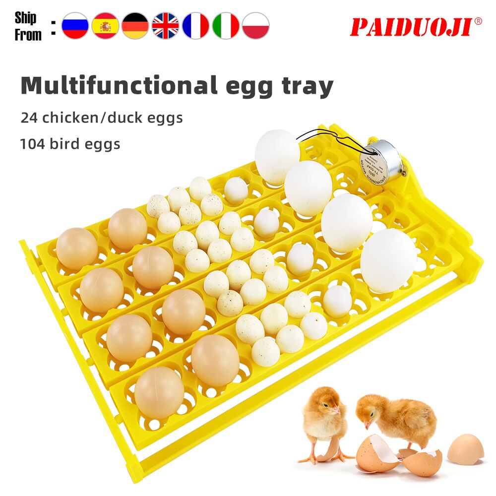 Multifunction 24 Eggs Tray Incubator Turn Tray Pou... – Vicedeal