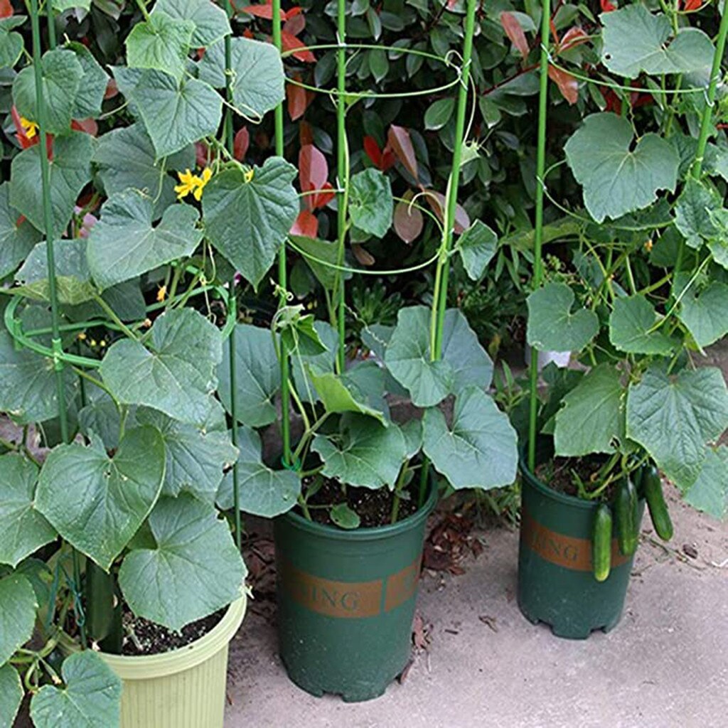 Plant Support Ring Adjustable Plant Trellises Gard... – Grandado