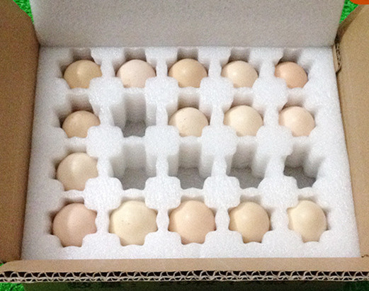 EPE Foam For 20/25/30 Holes Eggs Packaging Materia... – Grandado