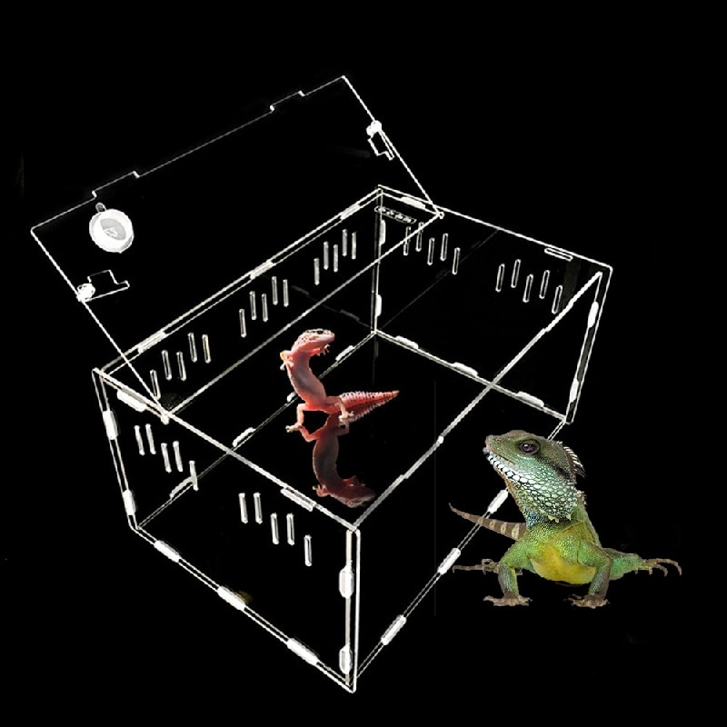 Transparent Acrylic Reptile Box for Spiders Tortoi... – Vicedeal