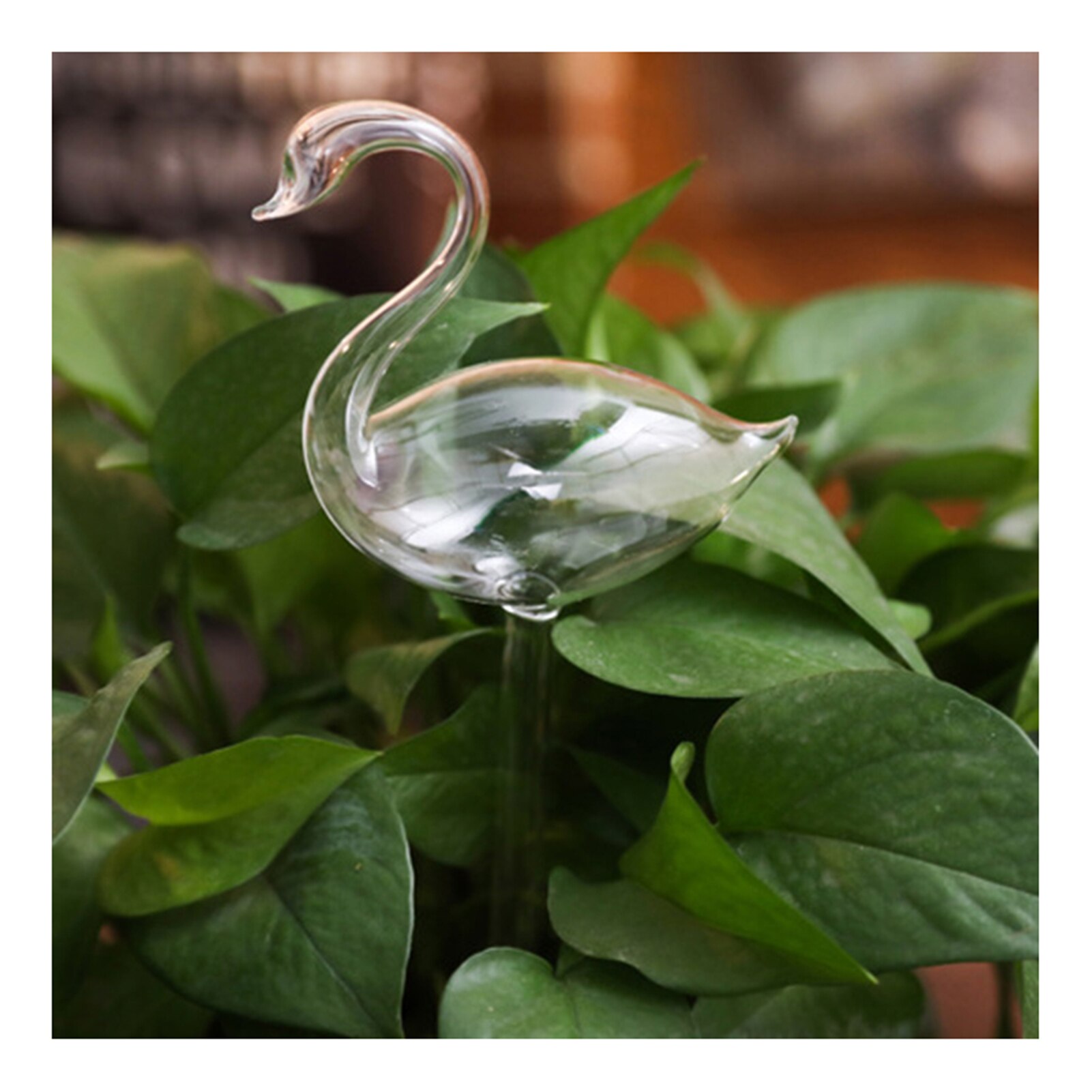 Cute Automatic Flower Watering Device Glass Self-W... – Grandado