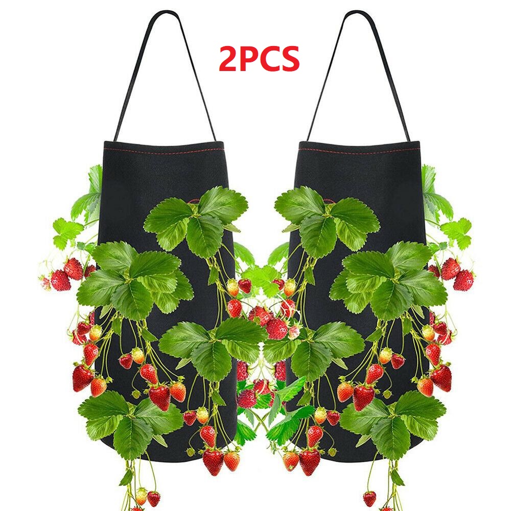 2 Stuks Aardbei Planten Groeiende Bag Tuin Opknopi... – Vicedeal