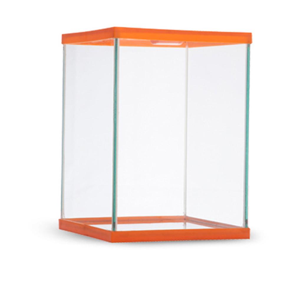 Reptile Glass Terrarium Amphibians Feeding Box Tra... – Vicedeal