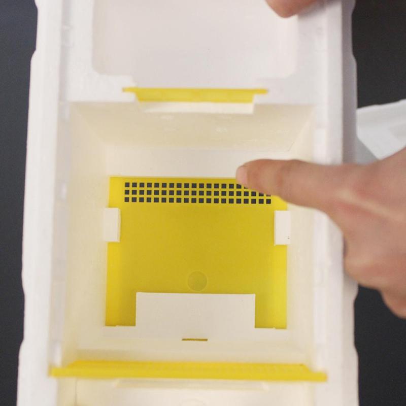 Home Hive Box Harvest Bee Hive Beekeeping King Box... – Grandado