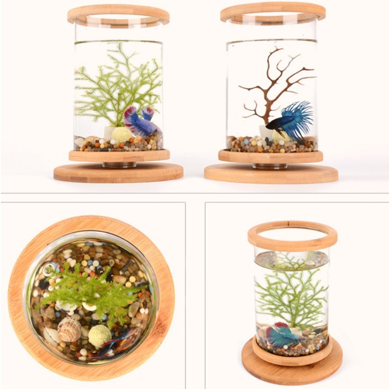 Mini Transparante Glazen Aquarium Aquarium Met Bam... – Vicedeal