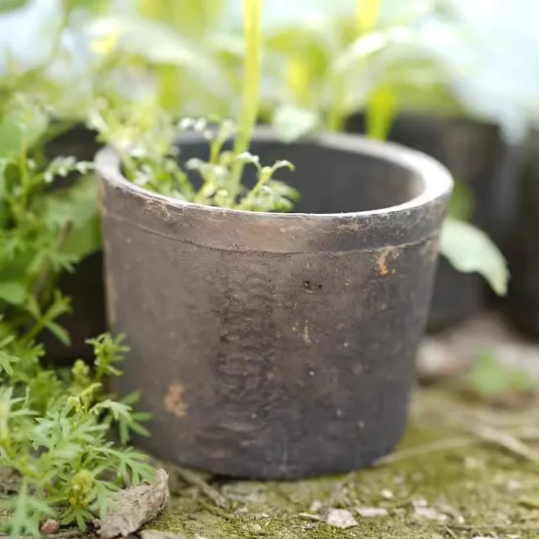13cm Indoor Ceramic Planter coarse Pottery Pot Gar... – Vicedeal