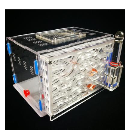 9 Colors Ant Nest City C1 Insect Cage Farm With Fe... – Grandado