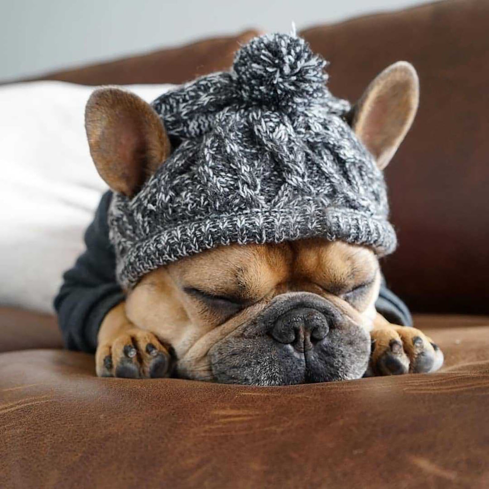 40#Winter Dog Caps Hat Keep Warm Their Heads Warm ... – Vicedeal