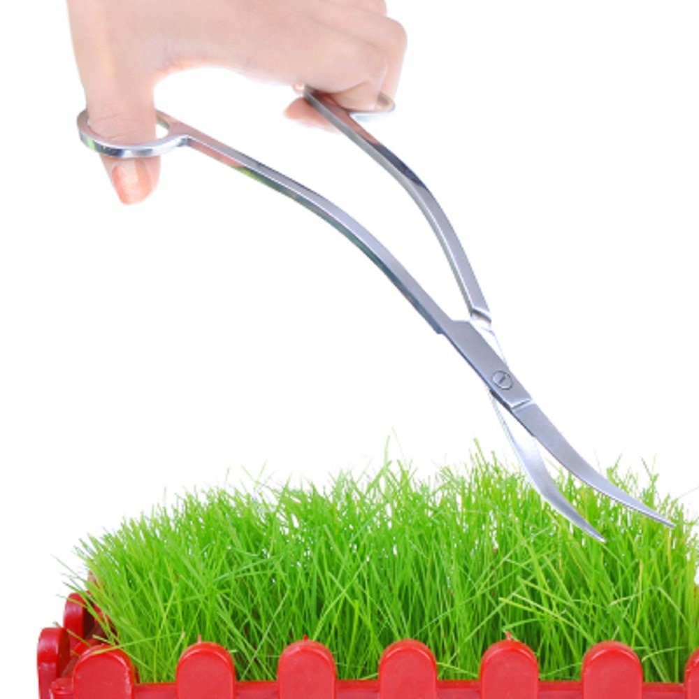 cutting cutter seagrass sea grass Aquatic Aquarium... – Grandado