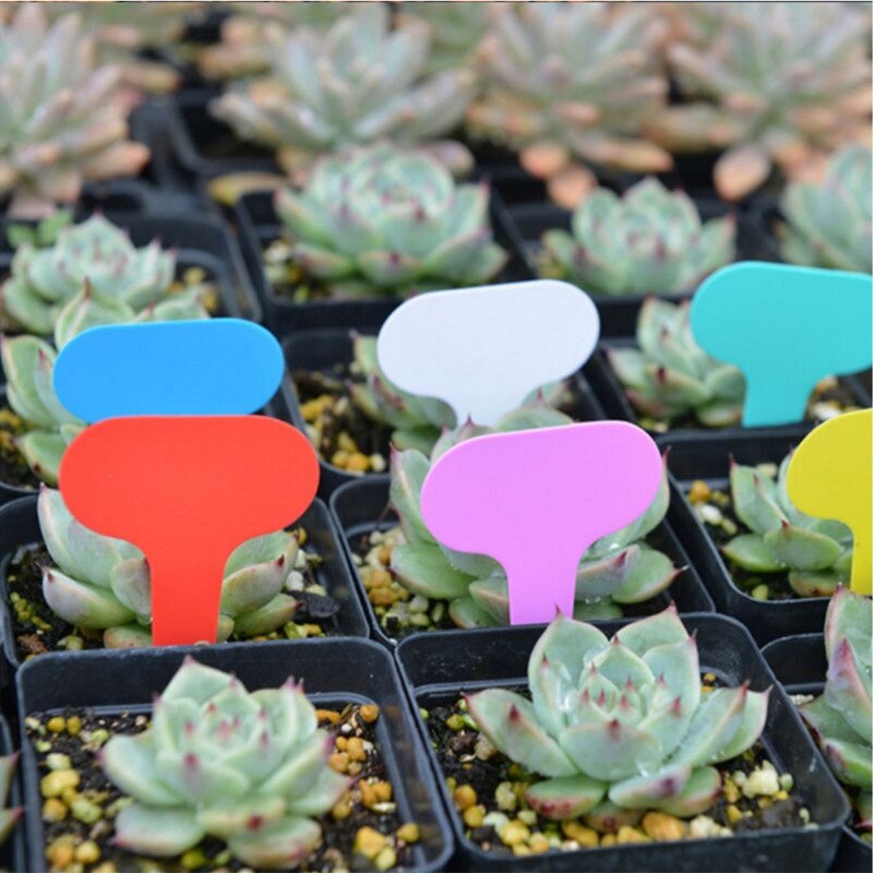 100pcs Colorful Plant Labels Markers Garden Vegeta... – Grandado