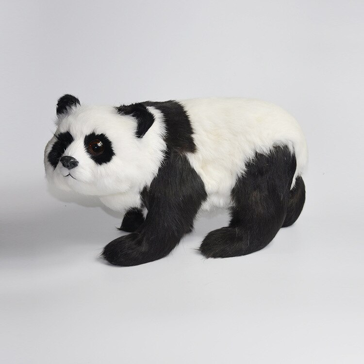 Model Giant Panda (Ailuropoda Melanoleuca) Simulat... – Grandado