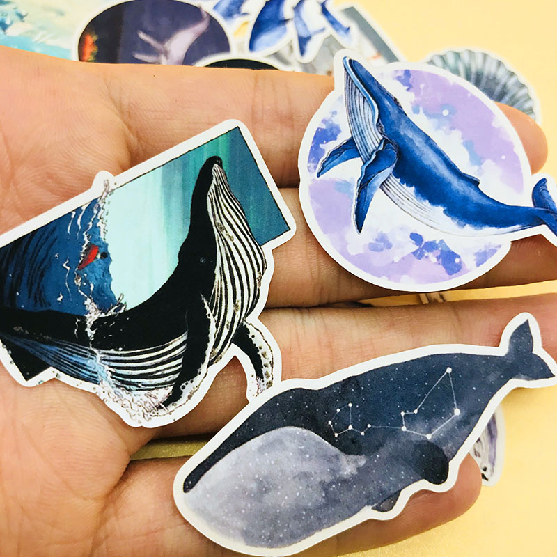 Blue whale brief stickers aquarel marine creature ... – Vicedeal