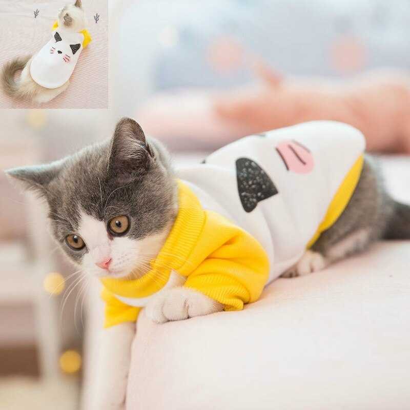 Pet Clothing Cat Clothes Cute Funny Cat Sweater Pe... – Vicedeal