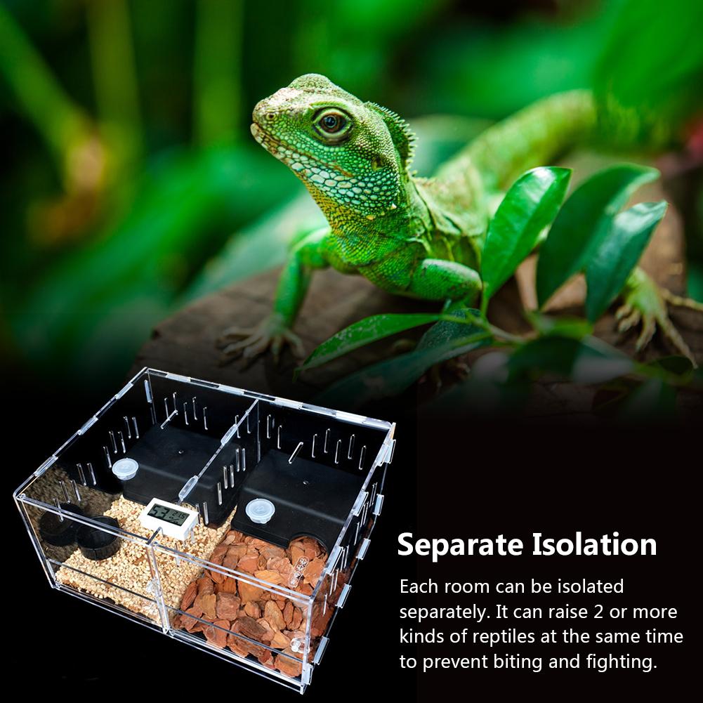 Transparent Reptile Feeding Box Multi-crawl Climbi... – Grandado