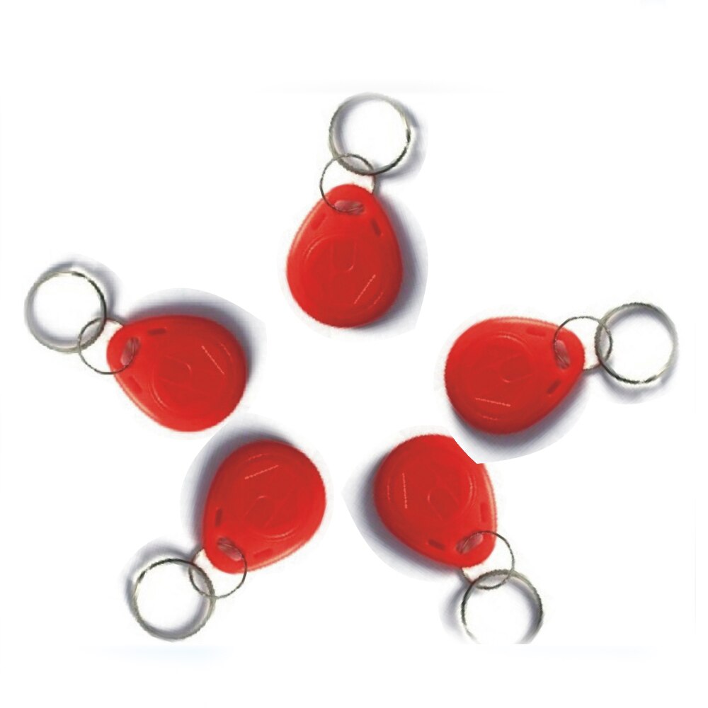 10Pcs EM4100 125Khz Id Keyfob Rfid Tag Tags Llaver... – Grandado