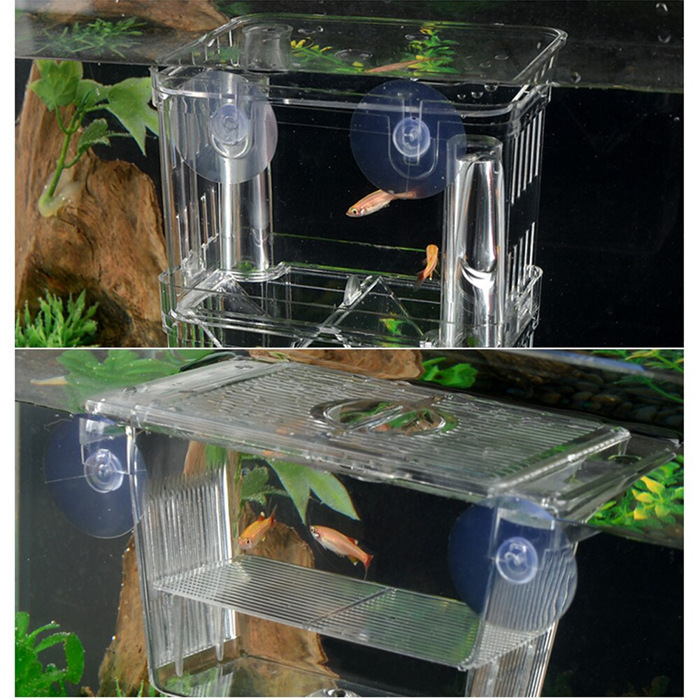 Fish Breeding Box Cage With Suction Cups Floating ... – Vicedeal