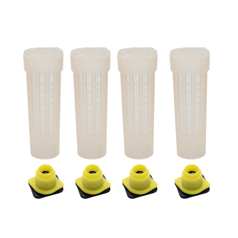 50PCS Beekeeping Queen Bee Rearing System Protecti... – Grandado