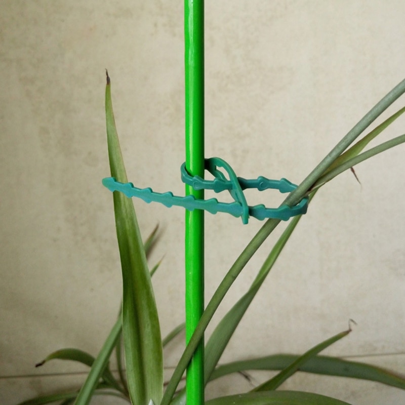 2Pcs Garden Plastic Plant Cable Tied Adjustable Tr... – Grandado