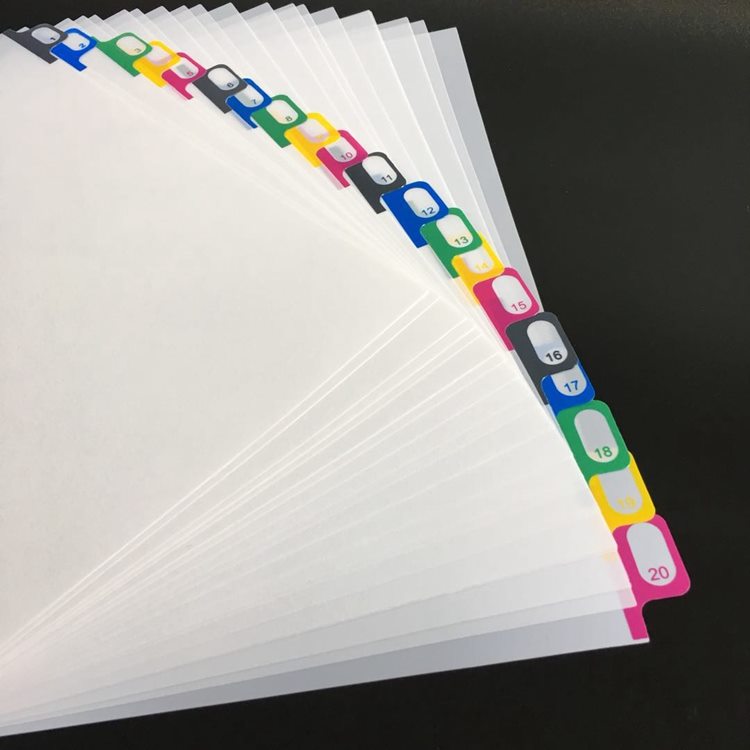 A4 20pages white plastic page index divider, 11hol... – Grandado