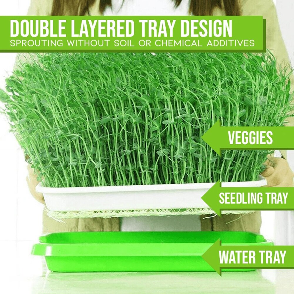 Sprouting Tray, Bean Sprout Planter, BPA-Free Home... – Vicedeal