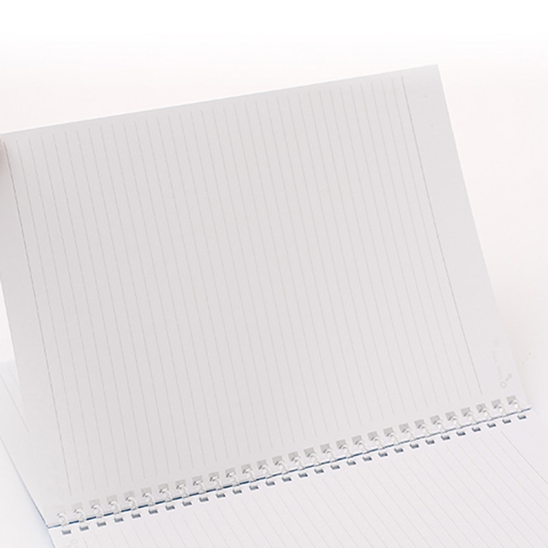 Sarah J. Maas A5 Notebook Spiral Binder Coil Note ... – Vicedeal