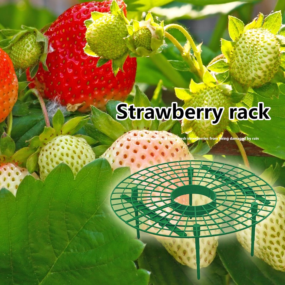 Plastic Strawberry Support Stand Removable Vegetab... – Grandado