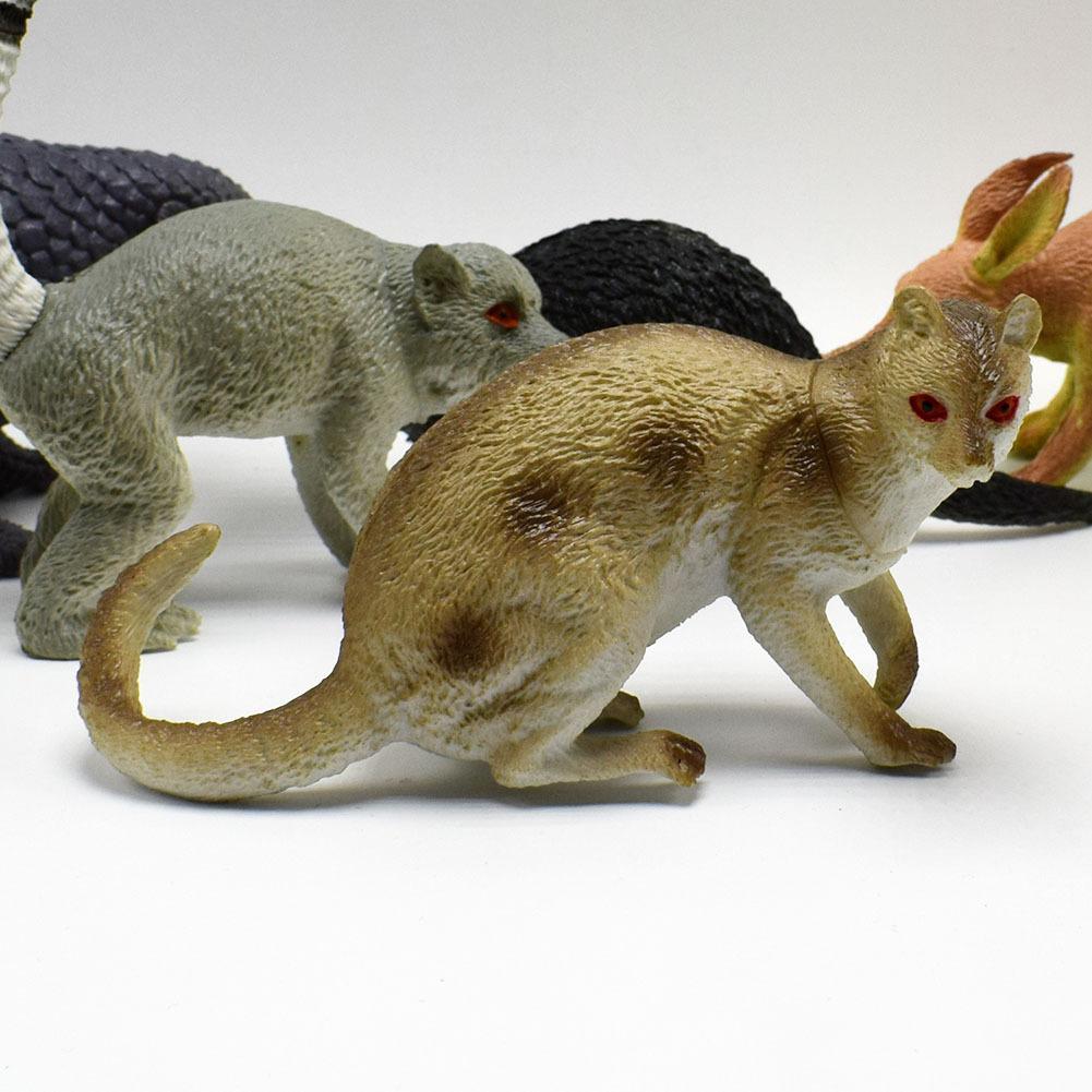 6Pcs Simulation Bobcat Anteater Wild Animal Model ... – Vicedeal