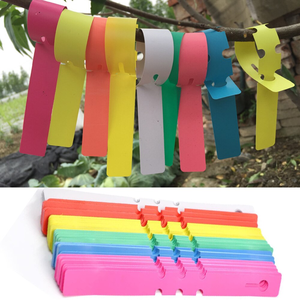 50/20pcs Agriculture Plant Tags PVC Plastic Garden... – Grandado