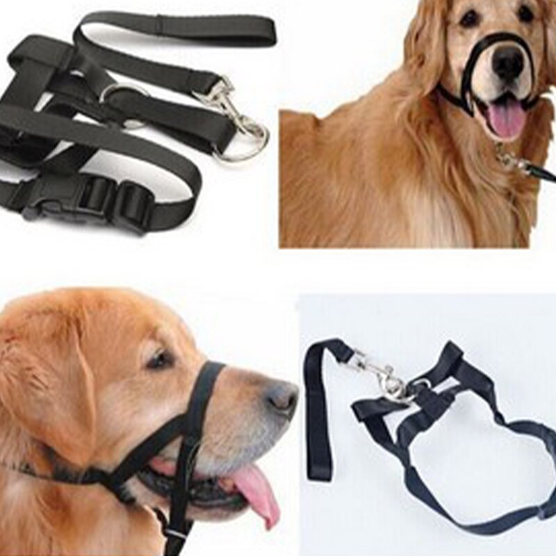 Nylon Dog Mouth Muzzle Head Halter Collar Adjustab... – Grandado